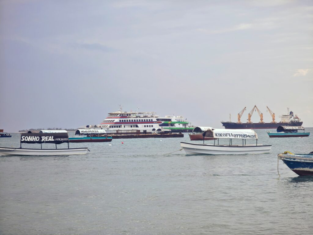 Boat Booking Trip - Zan Royal Tour